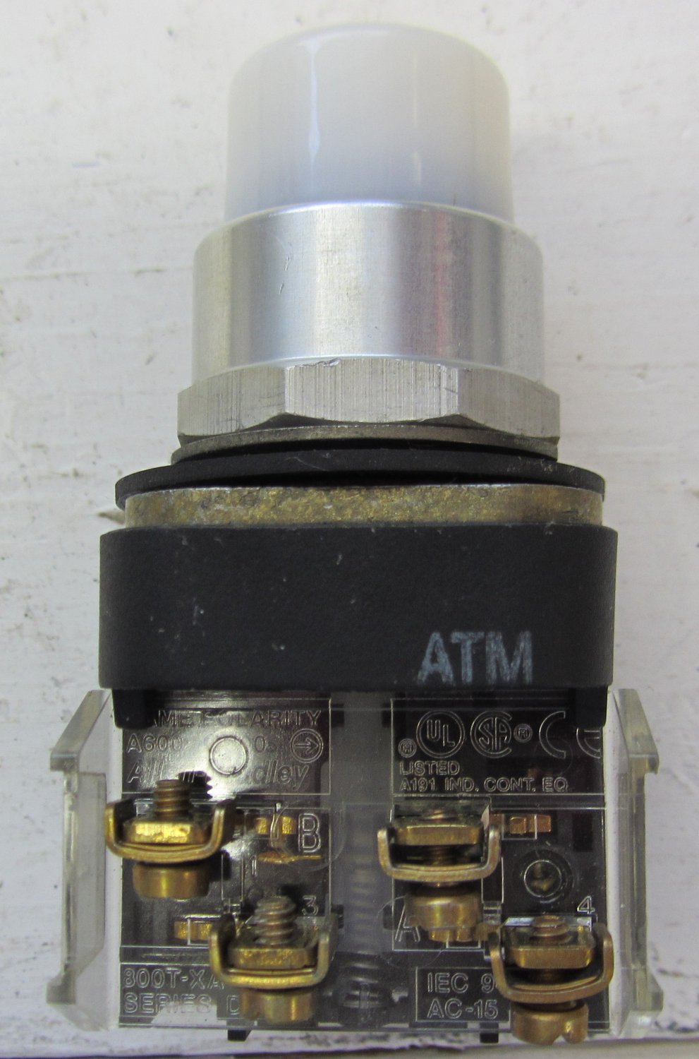 Allen Bradley 800T-PT16 Push Button Pilot Light White 120 VAC 800TPT16