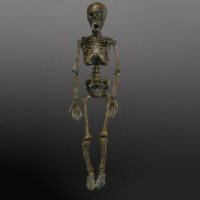 Corpsed Barney Skeleton