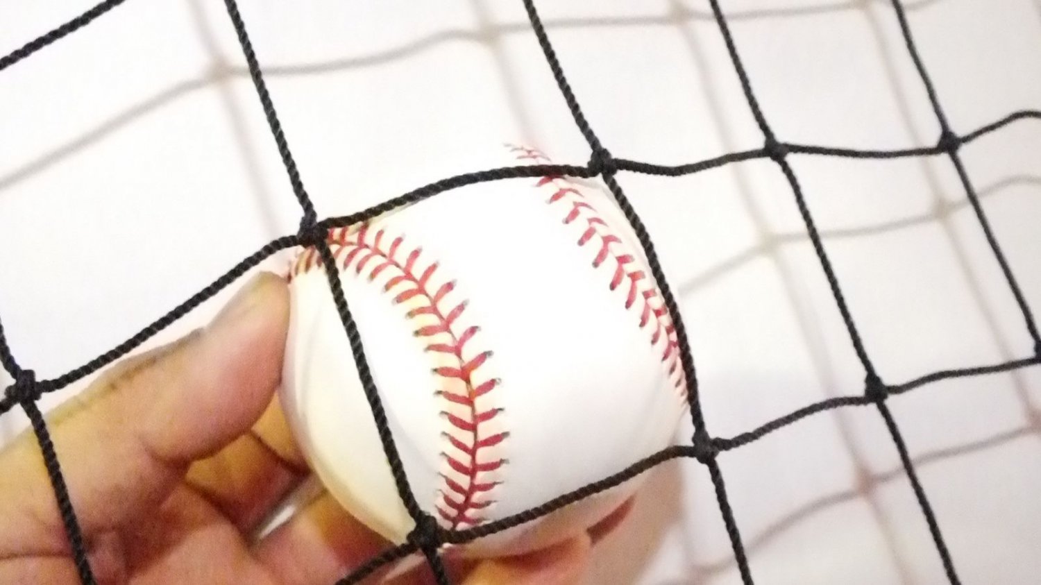 Batting cage netting #21 10x10x20 ft. little l. net only baffle netting ...