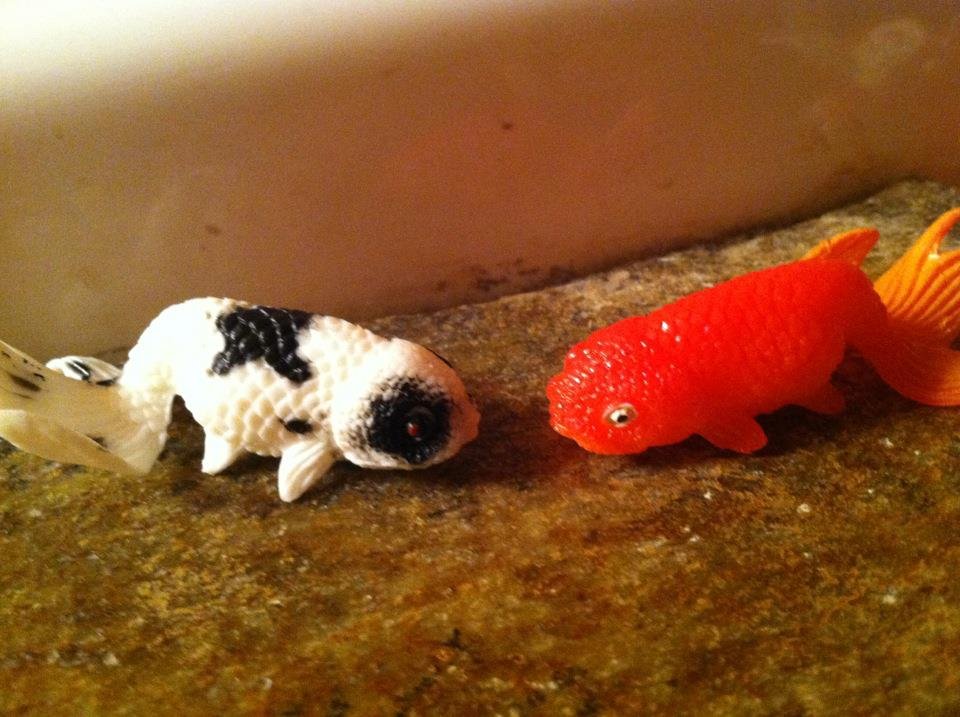 Goldfish Toy vinyl Ranchu figure replicas 2 piece fish