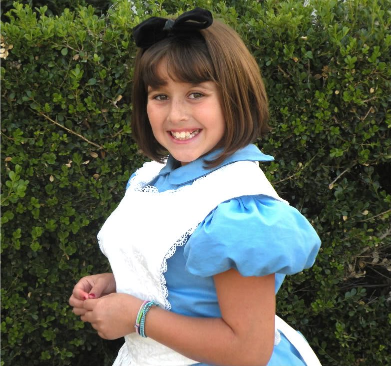 CUSTOM MADE ALICE IN WONDERLAND Blue and White Pinafore Girls CHILD ...