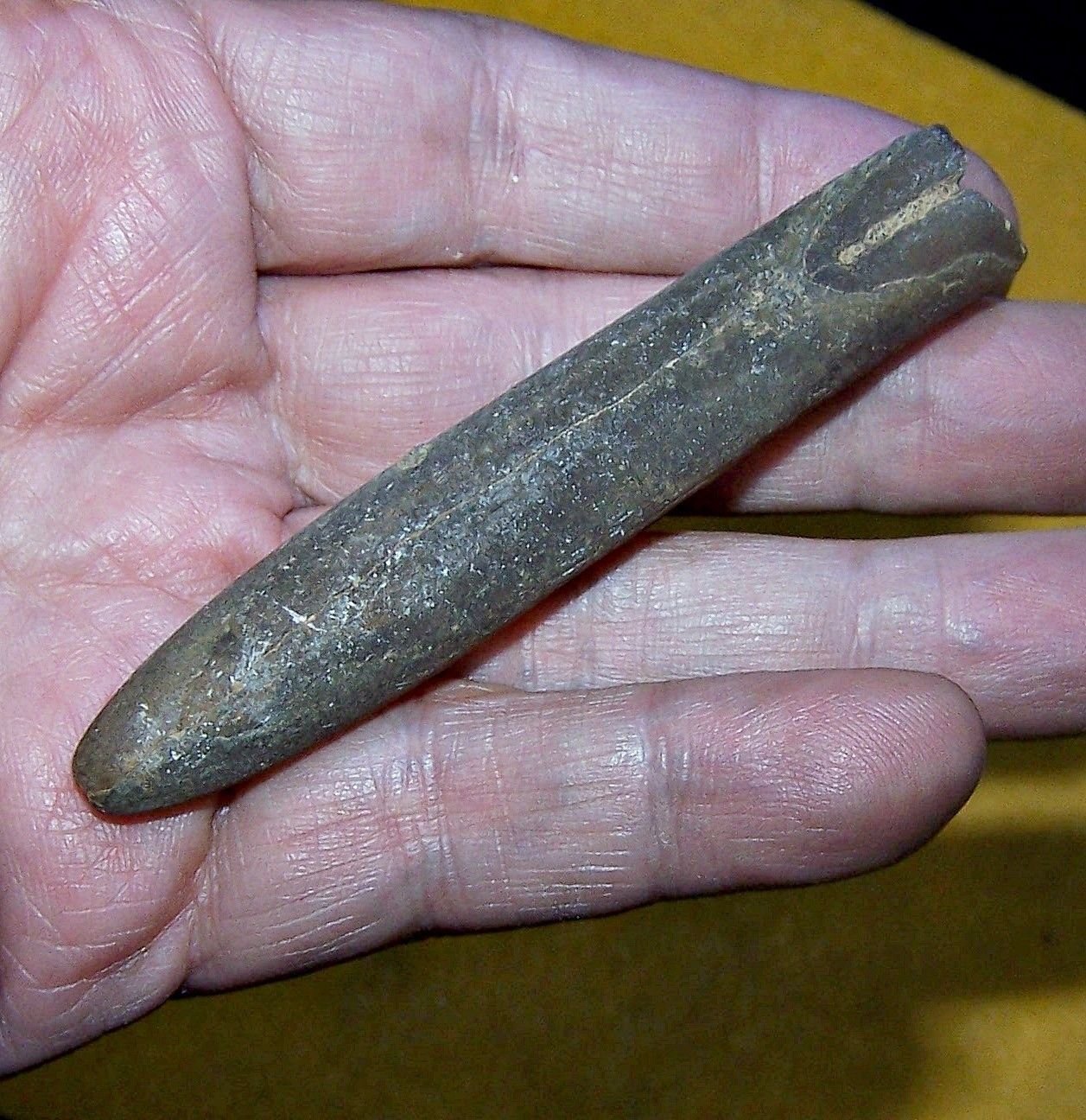 Cretaceous Belemnite Guard, Belemnitella americana var. americana, New ...