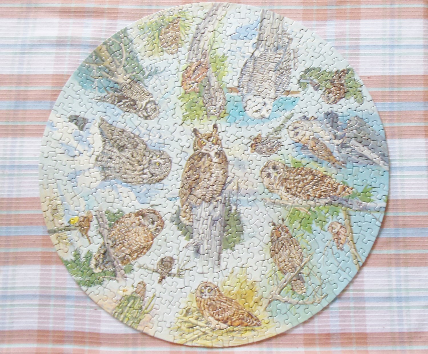 Springbok Owls Jigsaw Puzzle 1973 Circular Pzl 400PZL6054