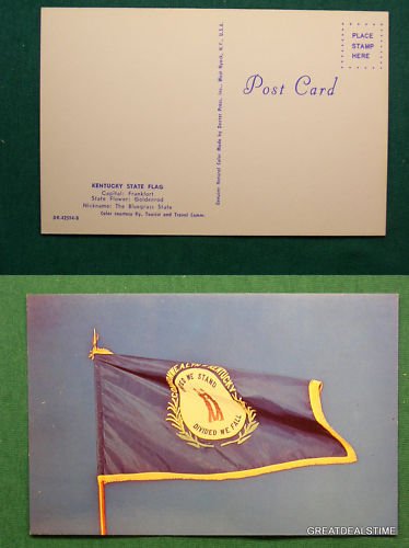KENTUCKY BLUEGRASS STATE FLAG FLYING VINTAGE POSTCARD