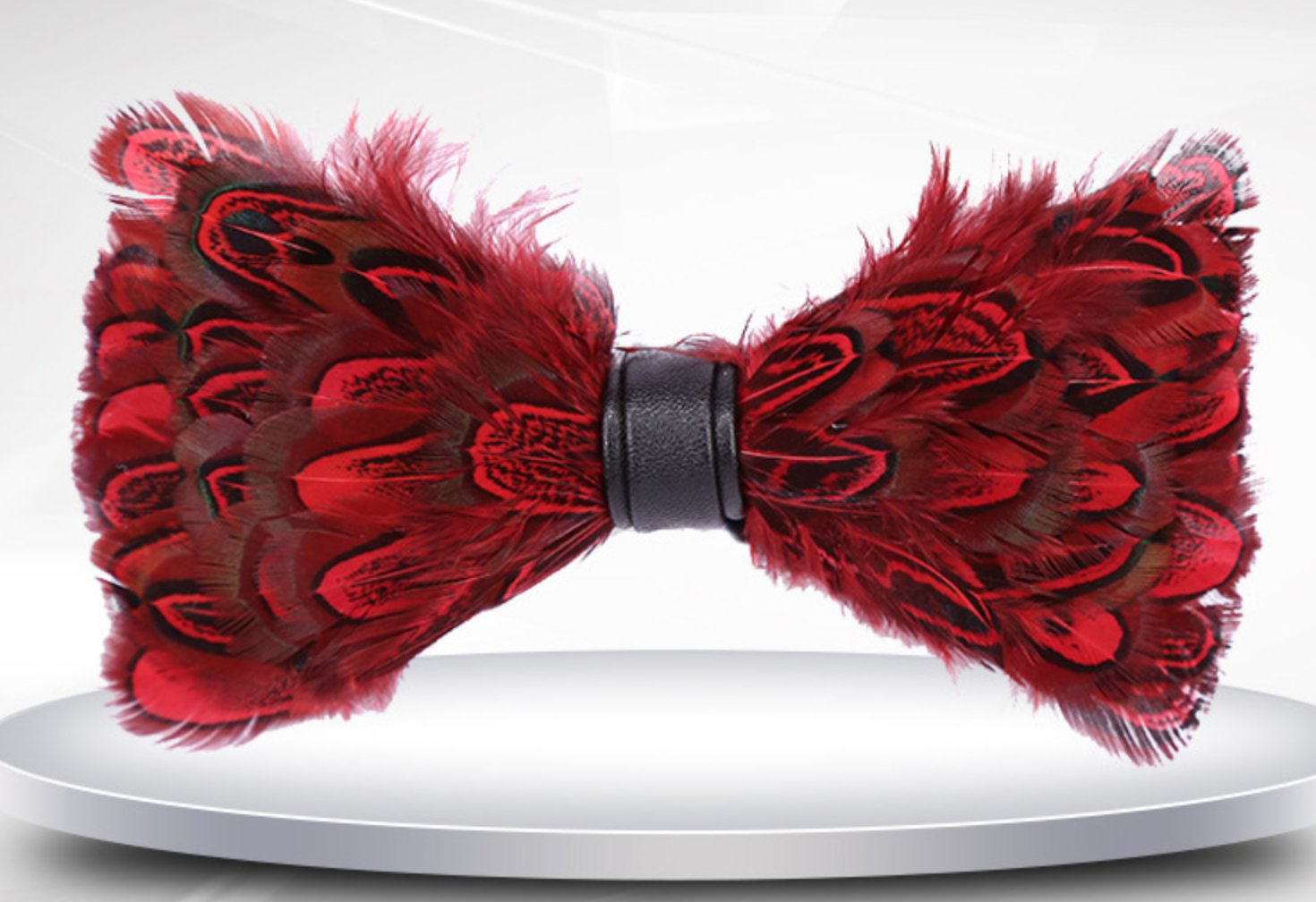 Bridal Party Wedding Men Pre Tied Vintage Bow Tie Neck Red Feather Tie