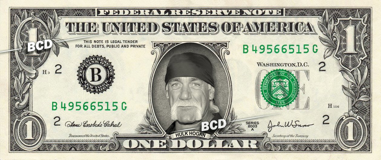 HULK HOGAN on REAL Dollar Bill WWE Wrestler Cash Money Memorabilia ...