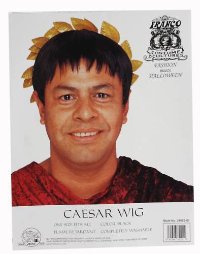 Men's Wig Caesar Style Black Short Wig