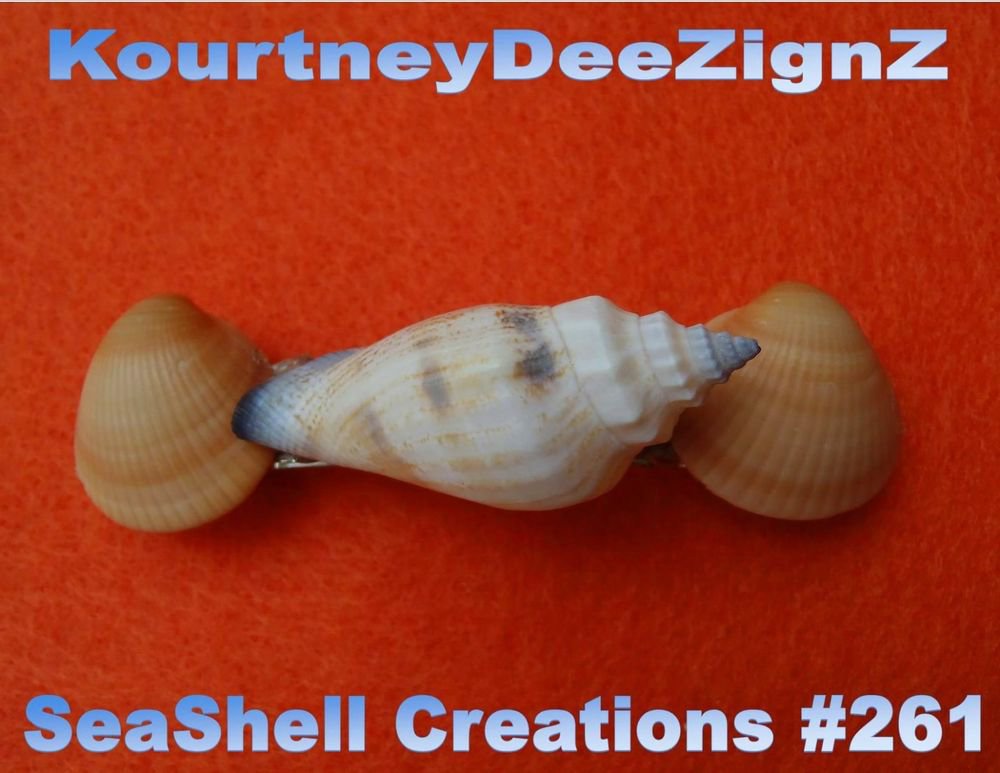 Artisan Seashells French Barrette #261 Handmade Hair, Shirt or Scarf Clip