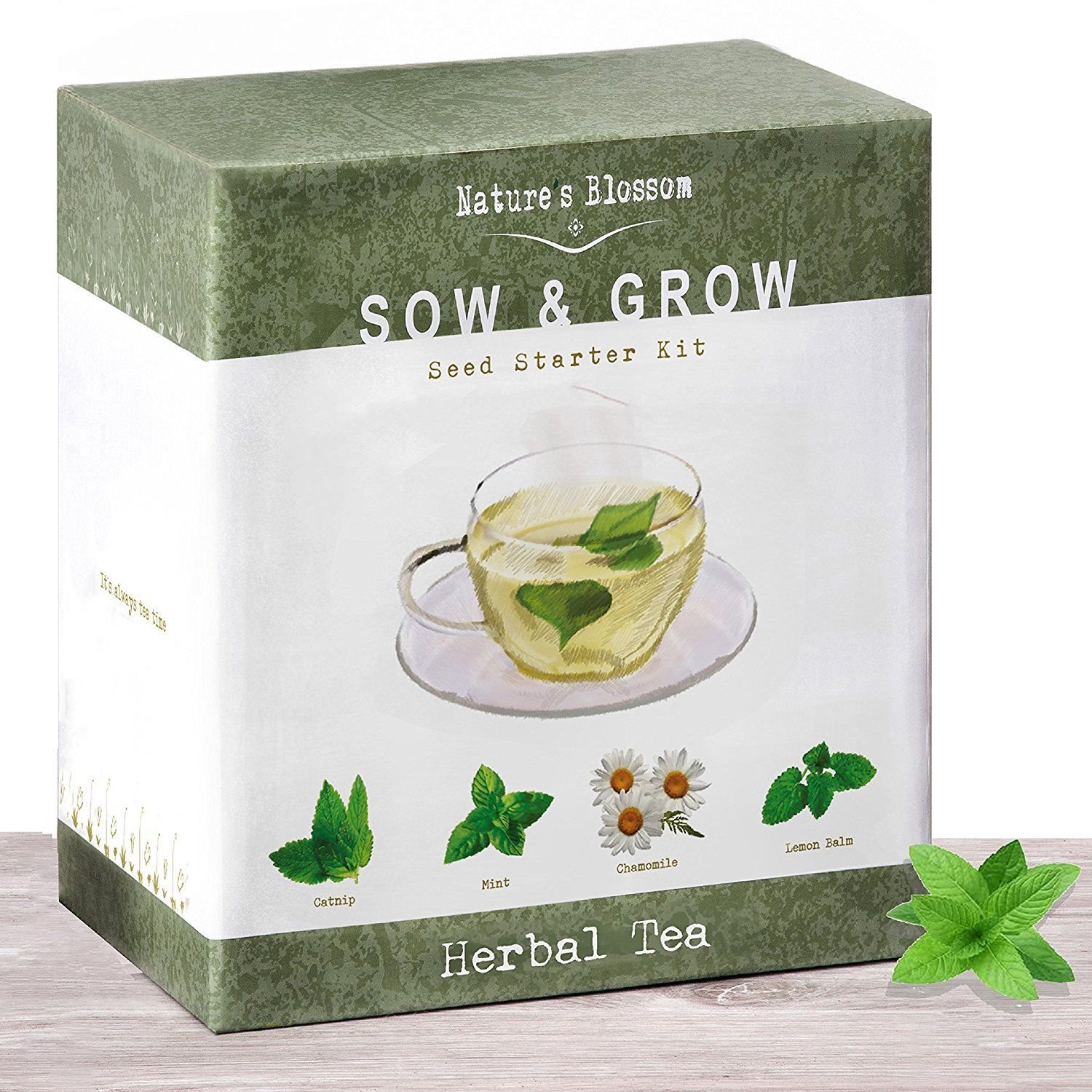 GIFT Grow Herbal Tea Plants From Seed Kit - Indoor Herb Garden W ...