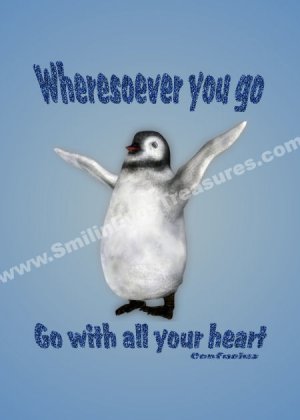 Inspirational Quotes With Penguins. QuotesGram