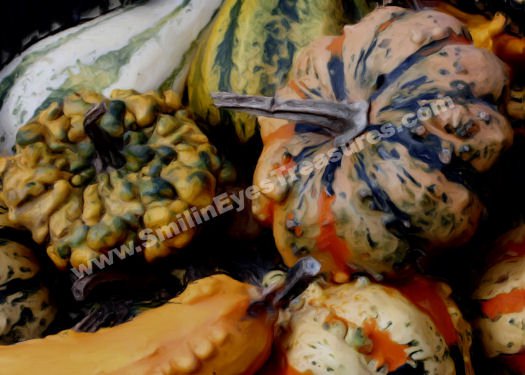 Fancy Gourds Digital Printable Photo Painting 5x7