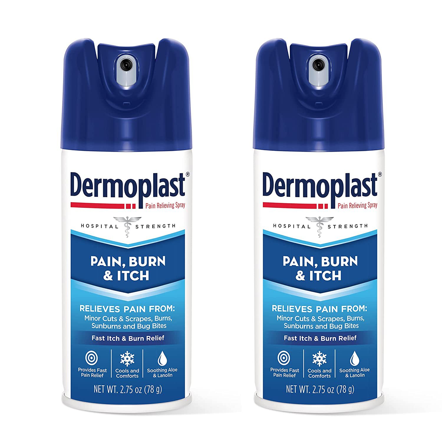 Dermoplast Pain, Burn & Itch Relief Spray for Minor Cuts, Burns and Bug ...