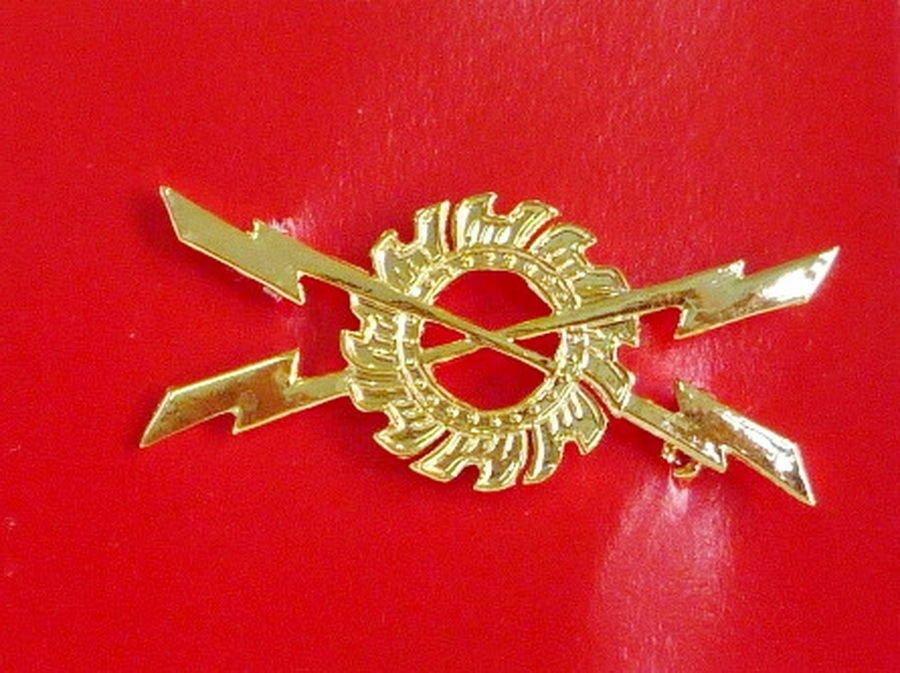 Royal Thai army of Signal Soldier metal BADGE PIN