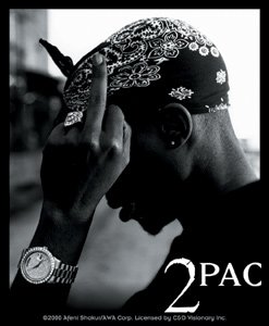 Tupac Shakur 2 Pac Vinyl Sticker Bandana Photo Logo