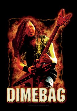 Pantera Dimebag Darrell Poster Flag Guitar Fire Tapestry