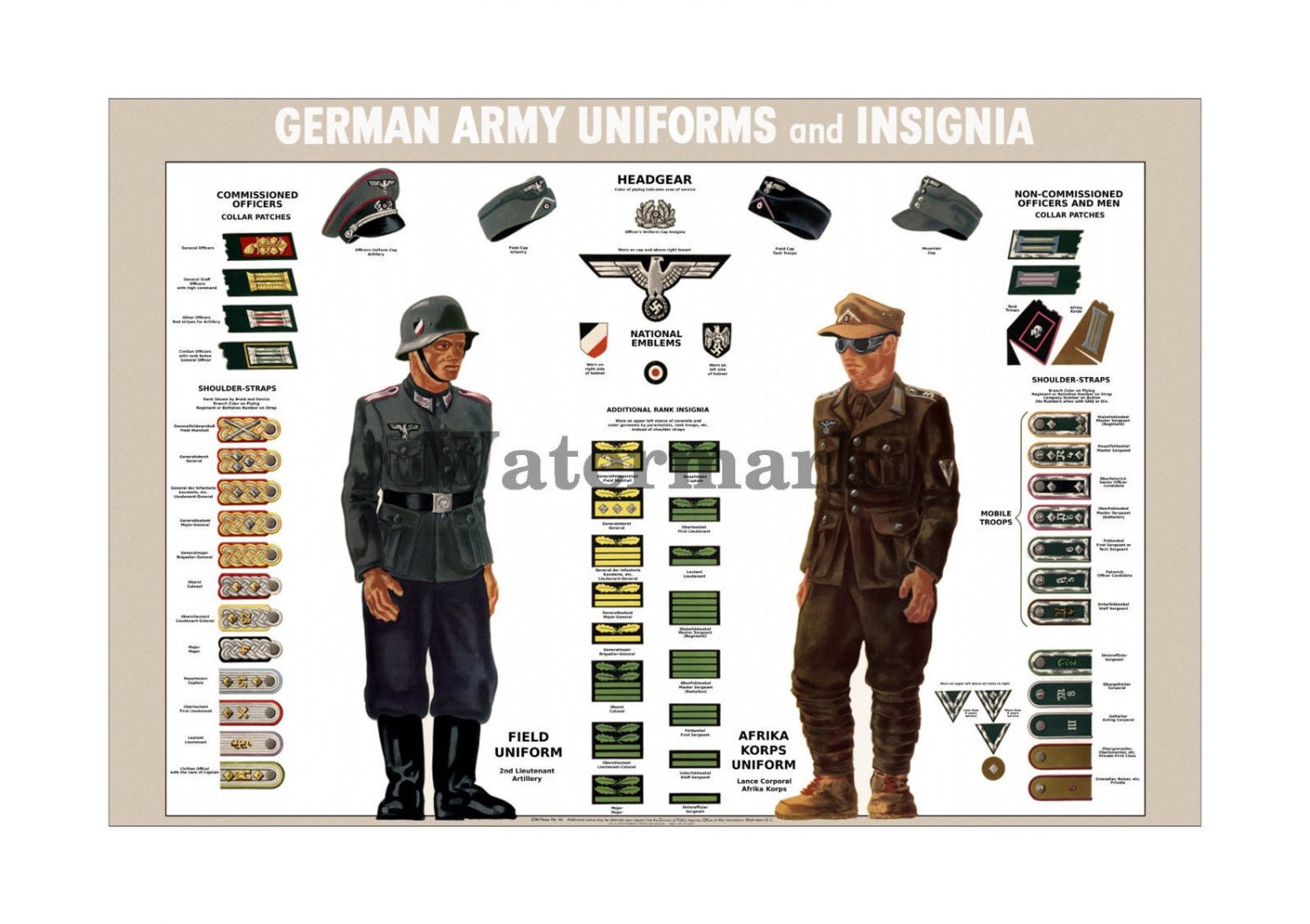 World War II German Uniforms & Insignia - US War Dept WW2 Poster