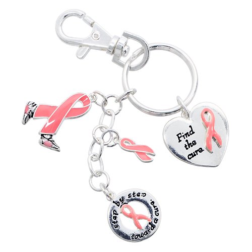 Pink Ribbon Breast Cancer Awareness Jewelry Walking Shoes Charms Key ...