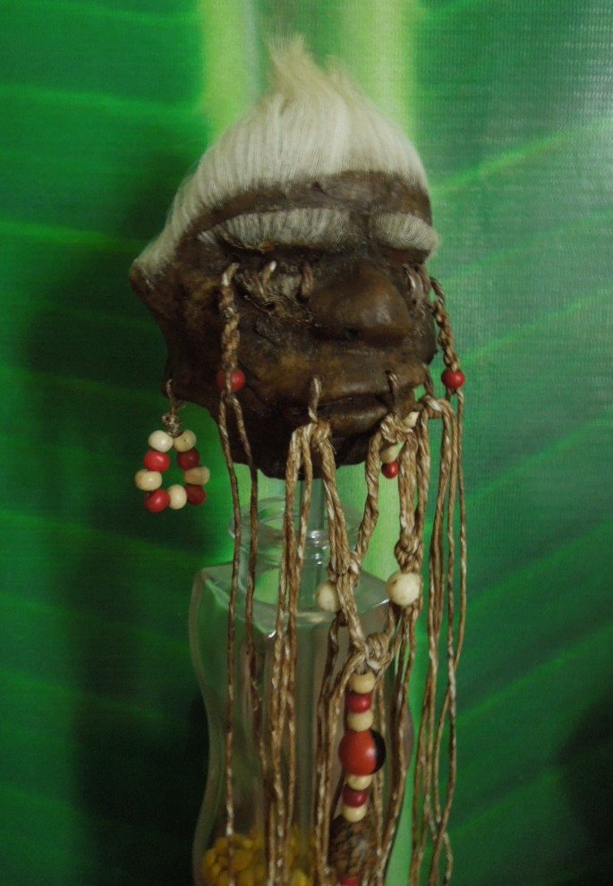 REAL LEATHER SHRUNKEN HEAD " TSANTSA object d·art