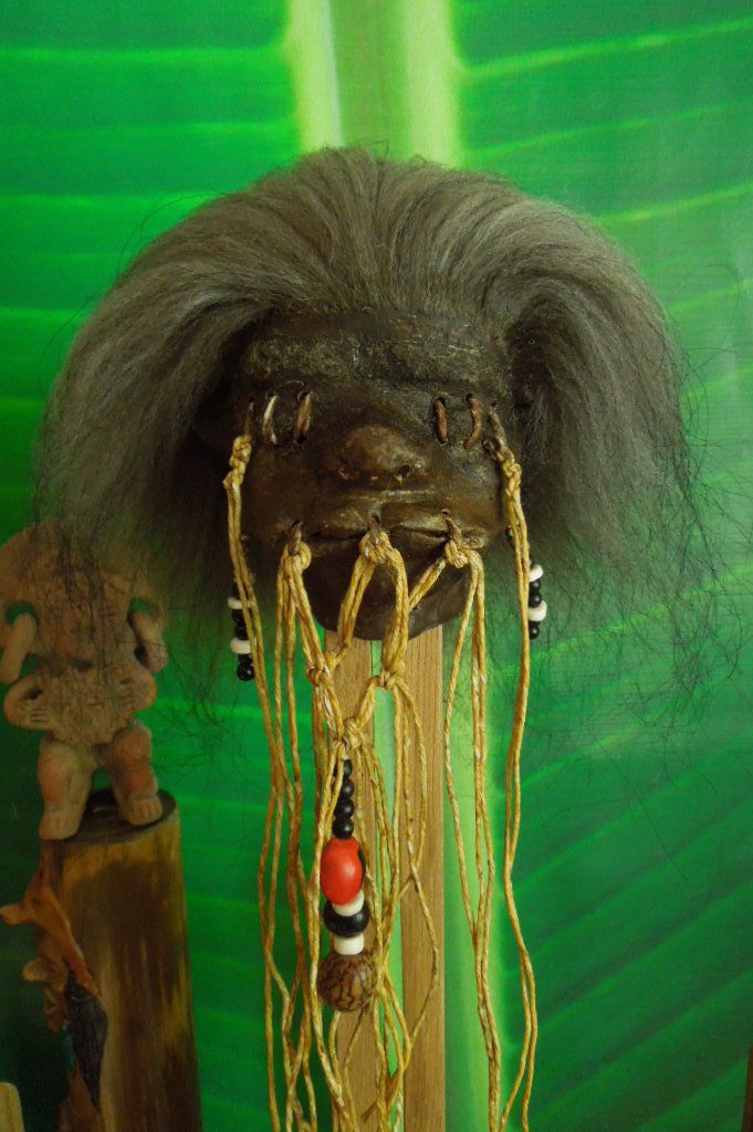 REAL LEATHER SHRUNKEN HEAD " TSANTSA object d·art