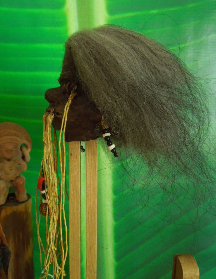 REAL LEATHER SHRUNKEN HEAD " TSANTSA object d·art