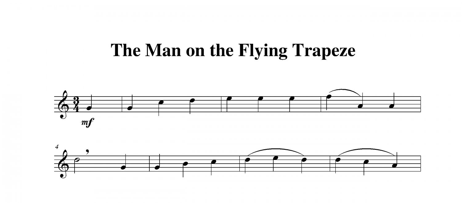 Man on the Flying Trapeze, The