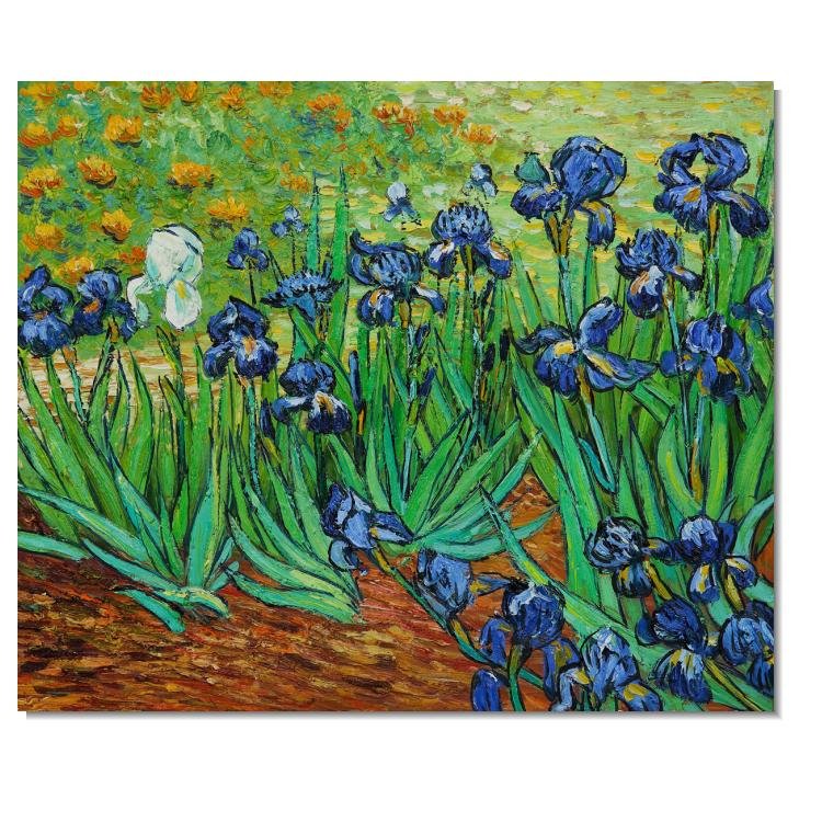 100% Hand Painted Vincent van Gogh Irises Reproductions Canvas Art ...