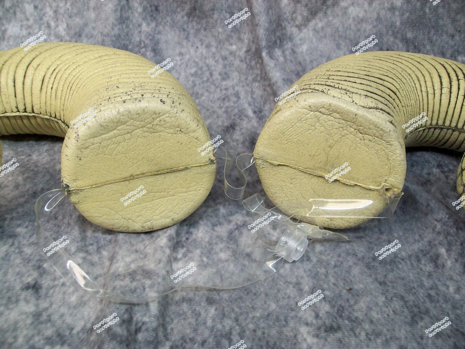 Jumbo Ram Horns Pan Minotaur Goat Fantasy Mythical Woodland Forest ...