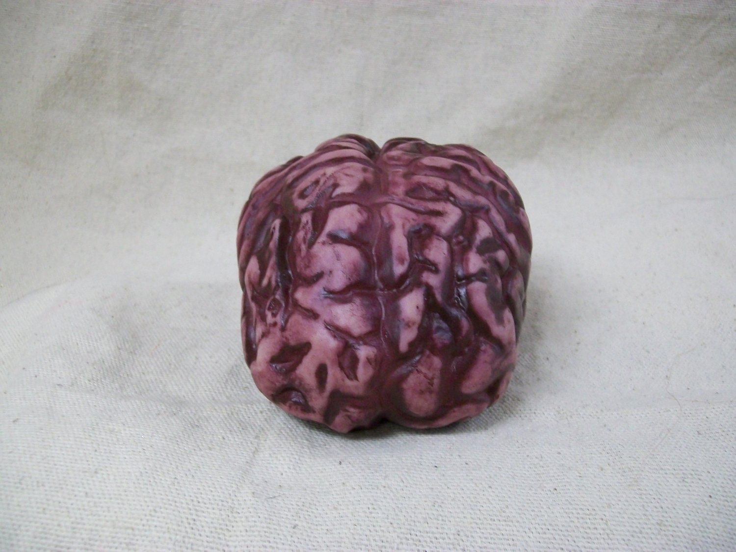 Bloody Human Brain Halloween Prop Creepy Mad Lab Butcher Shop Morgue ...