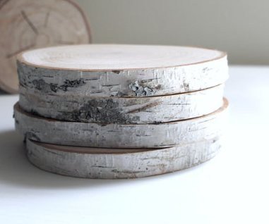 40 Birch Bark Tree Slices for Wedding Centerpieces