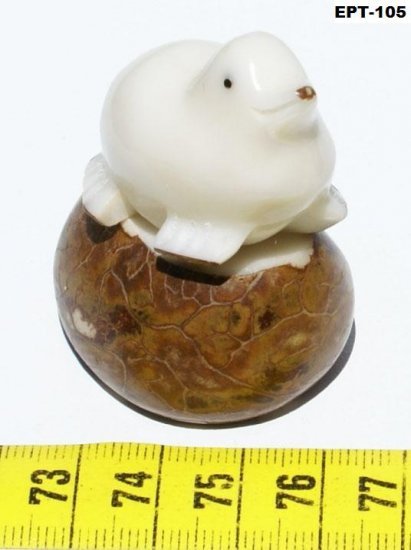 Hand Carving Animal Tagua Nut Figurine Seal Art Ecuador