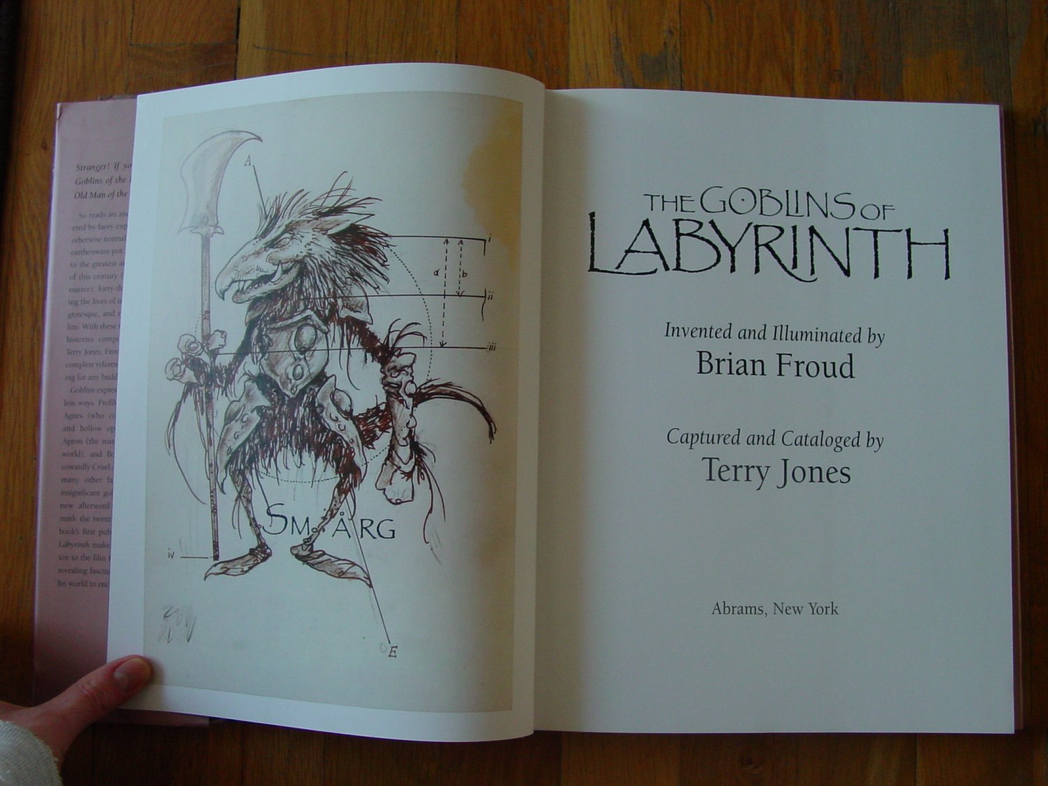 The Goblins of Labyrinth Brian Froud Terry Jones art book 2006 edition ...