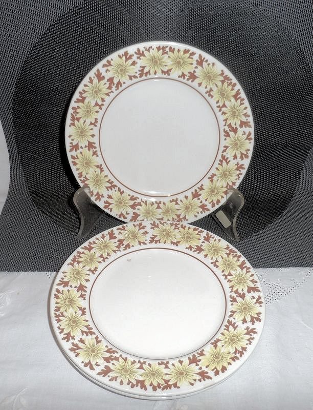 Daisy Trail Pattern Salad Plates Set of 3 S R. Ironstone Japan