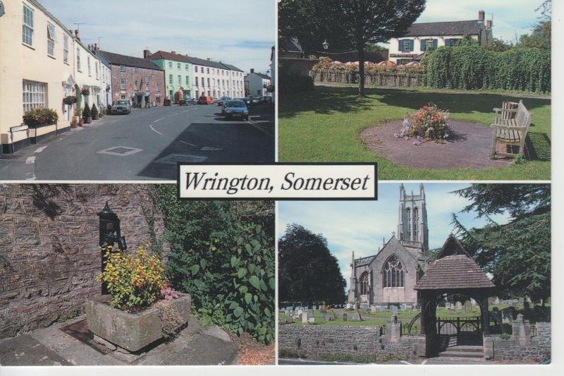 Wrington Somerset Postcard. Mauritron PC373-213565