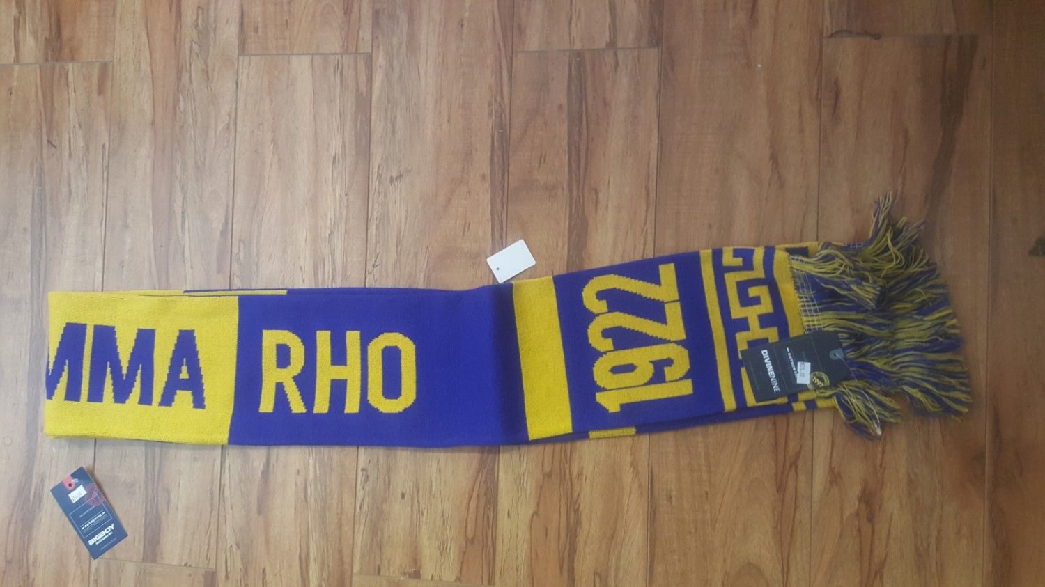 SIGMA GAMMA RHO SORORITY SCARF BLUE GOLD Scarf POODLE FASHION SCARF ...