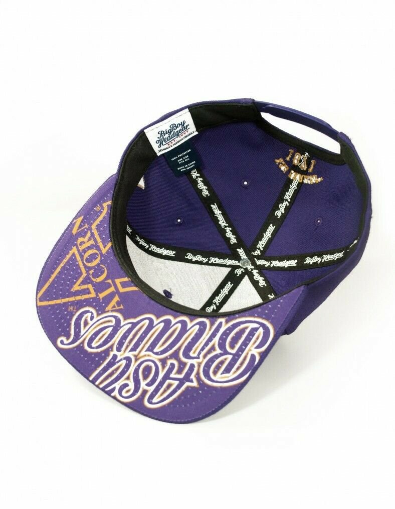 ALCORN STATE UNIVERSITY Baseball Cap Hat Baseball HBCU BASEBALL HAT ASU ...