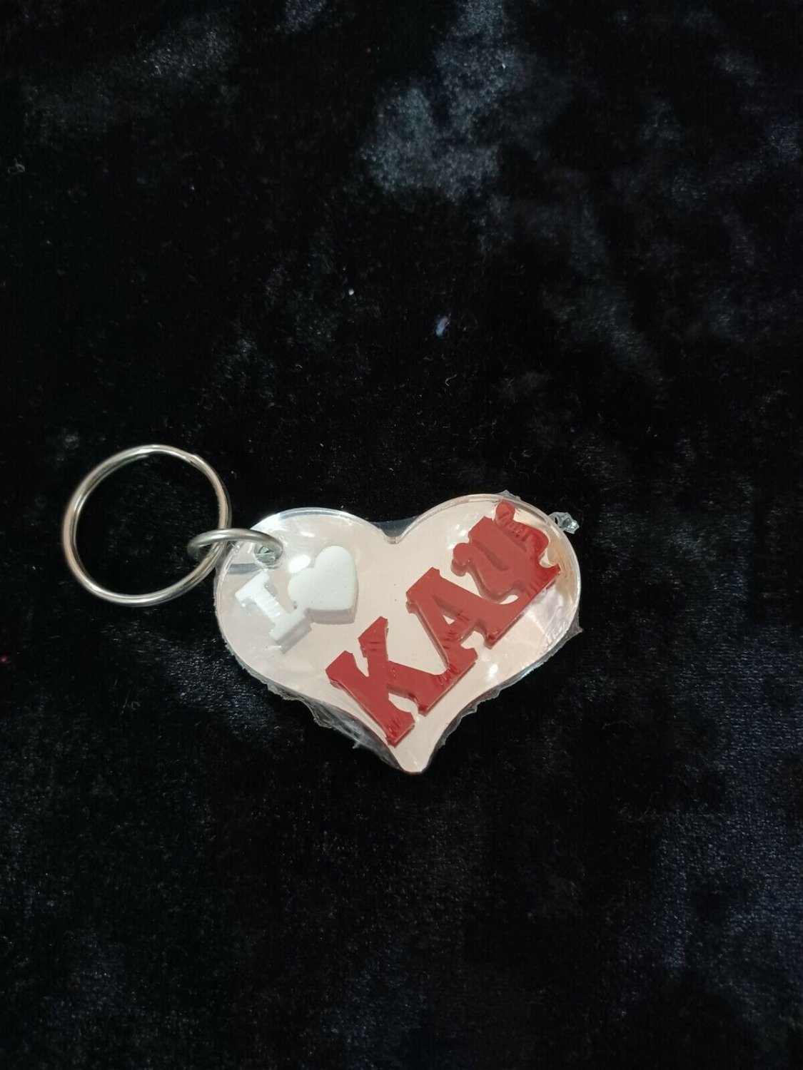 KAPPA ALPHA PSI FRATERNITY Key Chain NUPE 1911 #3