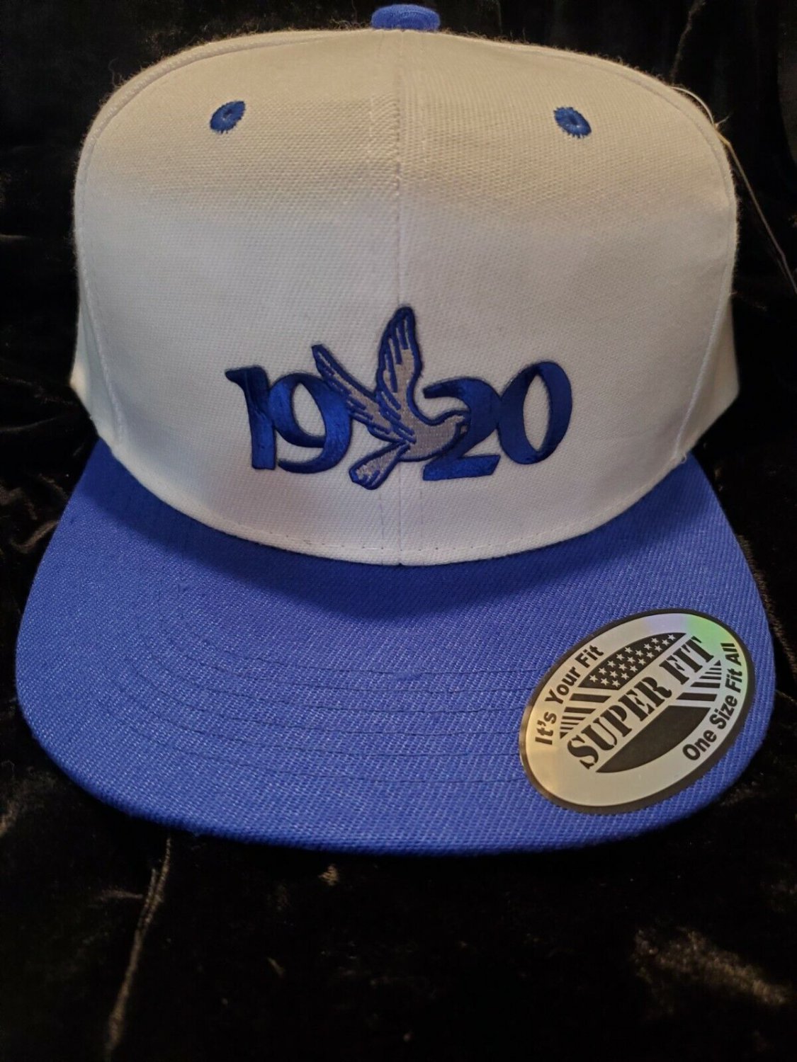 ZETA PHI BETA SORORITY BASEBALL CAP ZETA PHI BETA WHITE BASEBALL CAP 1920