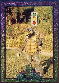 1994 - Mighty Morphin - Power Rangers - Power Foil Subset - Shellshock ...