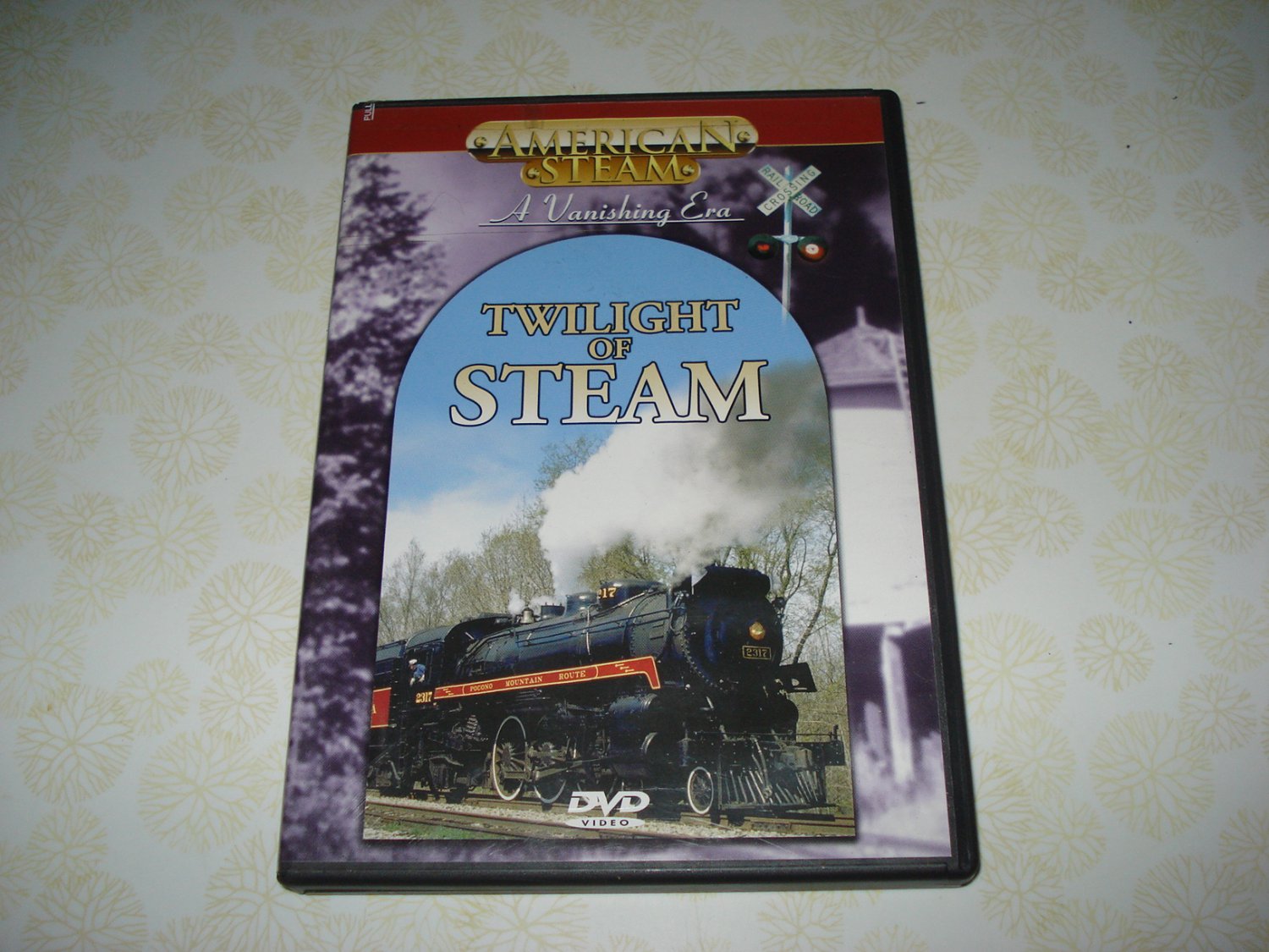American Steam A Vanishing Era Twilight Of Steam DVD