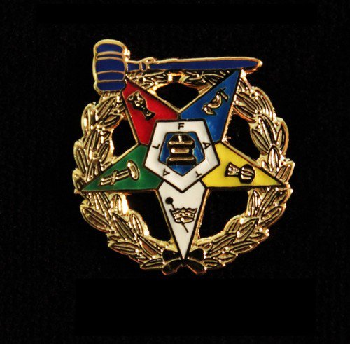 Order Eastern Star Past Worthy Matron DELUXE Lapel Pin