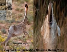 Coyote Call Cd Predator Calls "Turn On Hunt" Coyote And Jackrabbit Distress