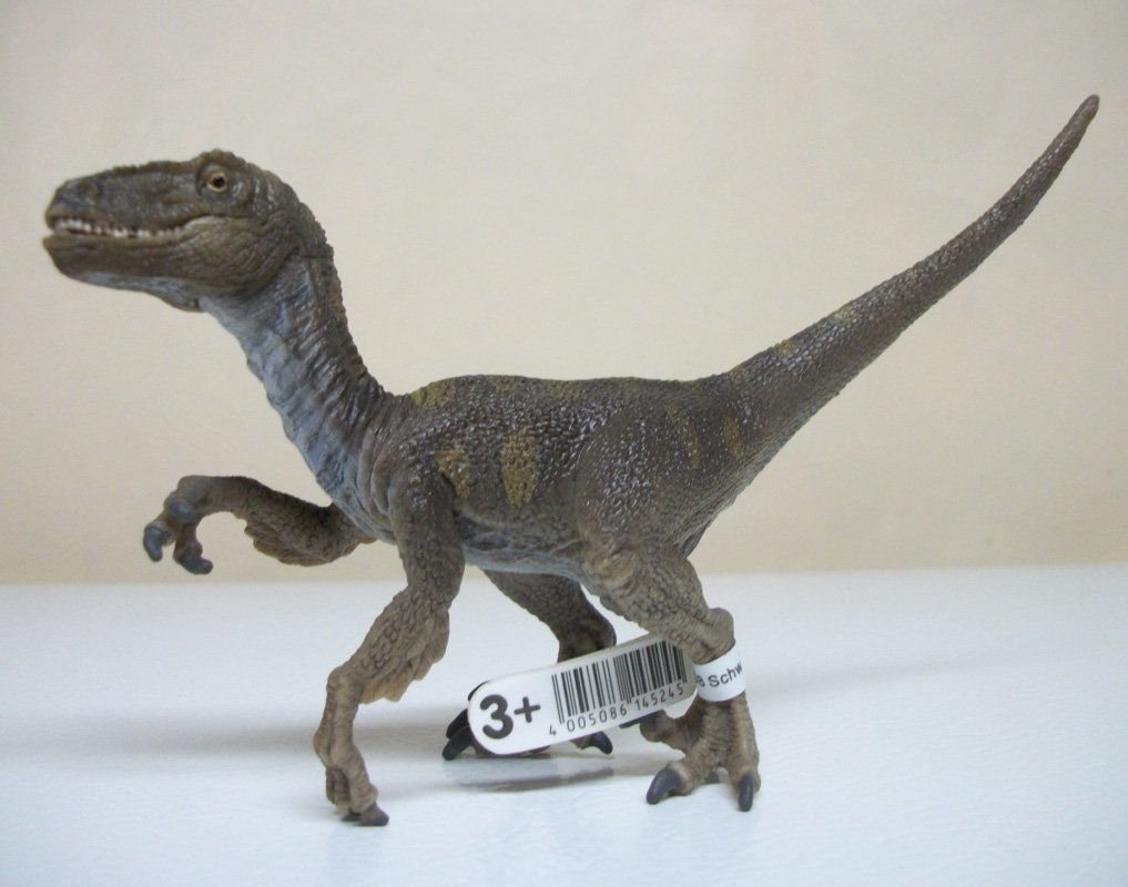 2011 Schleich pvc Velociraptor 14524 figure retired with tag raptor ...