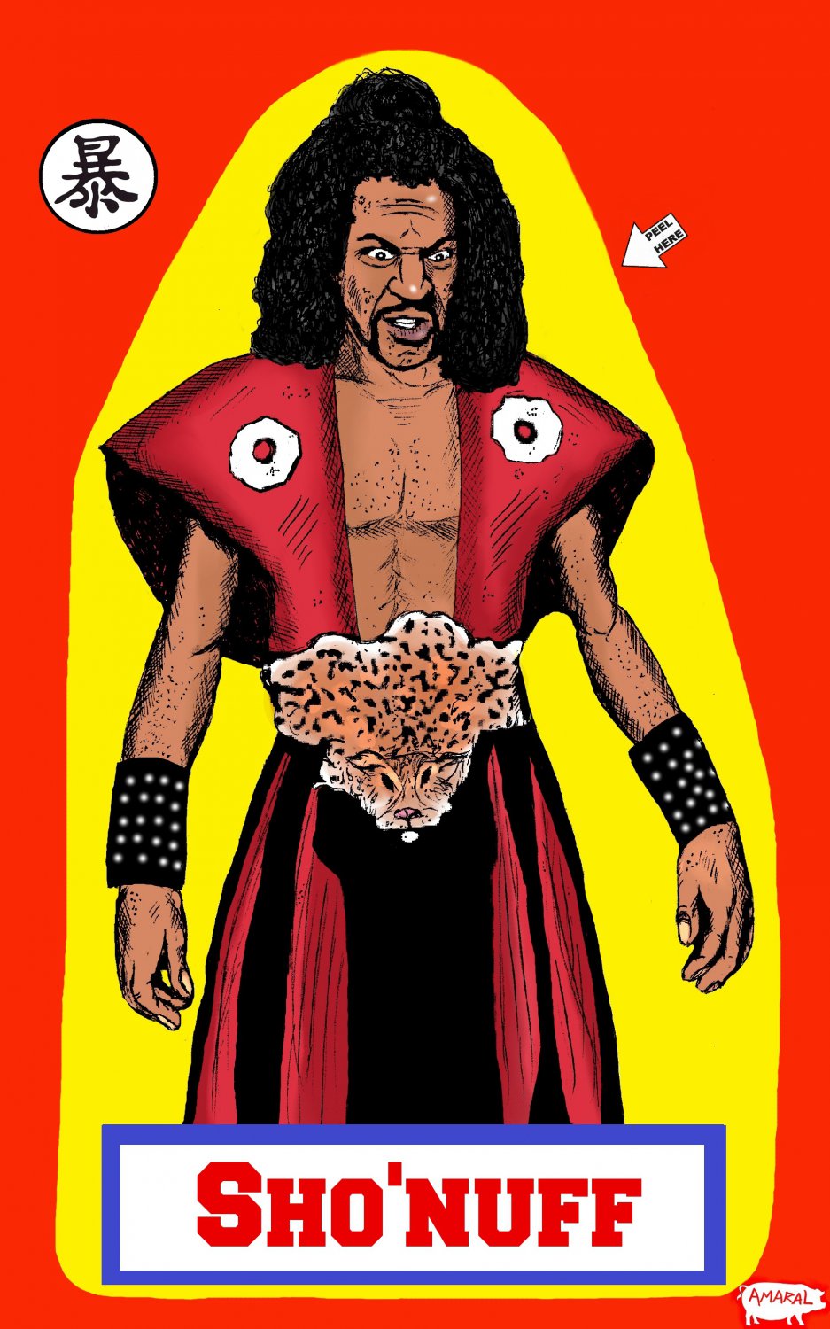 Sho'nuff Amaral Cartoons Poster