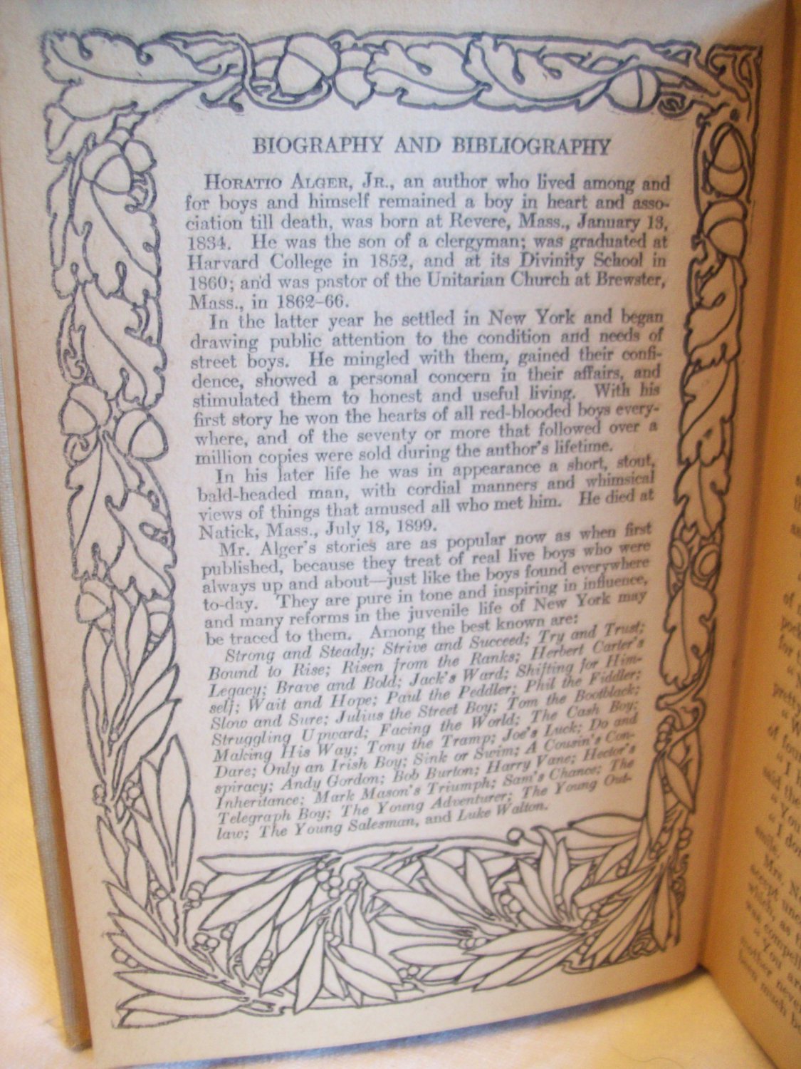 The Young Adventurer. Horatio Alger, Jr. author. Illustrated. Alger ...
