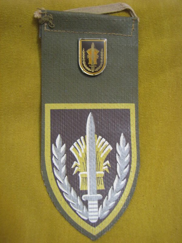Rare IDF Israel Shoulder Tag + Badge