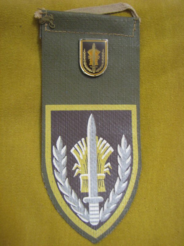 Rare IDF Israel Shoulder Tag + Badge