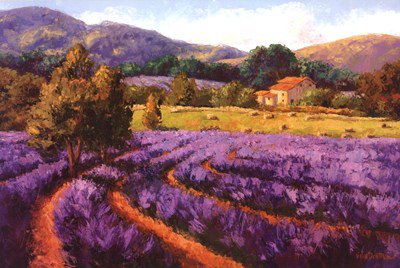Fragrant Fields by Erin Dertner 36x24 Art Print Poster 743504