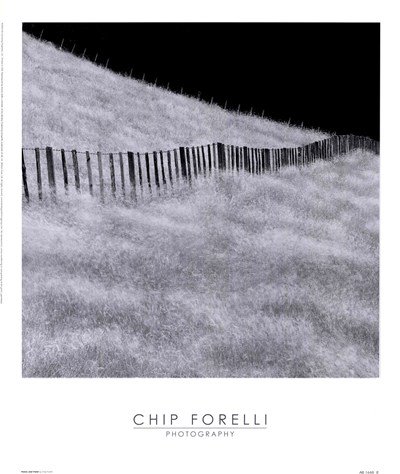 Fence And Field by Chip Forelli 13.5x16 Art Print Poster 180651