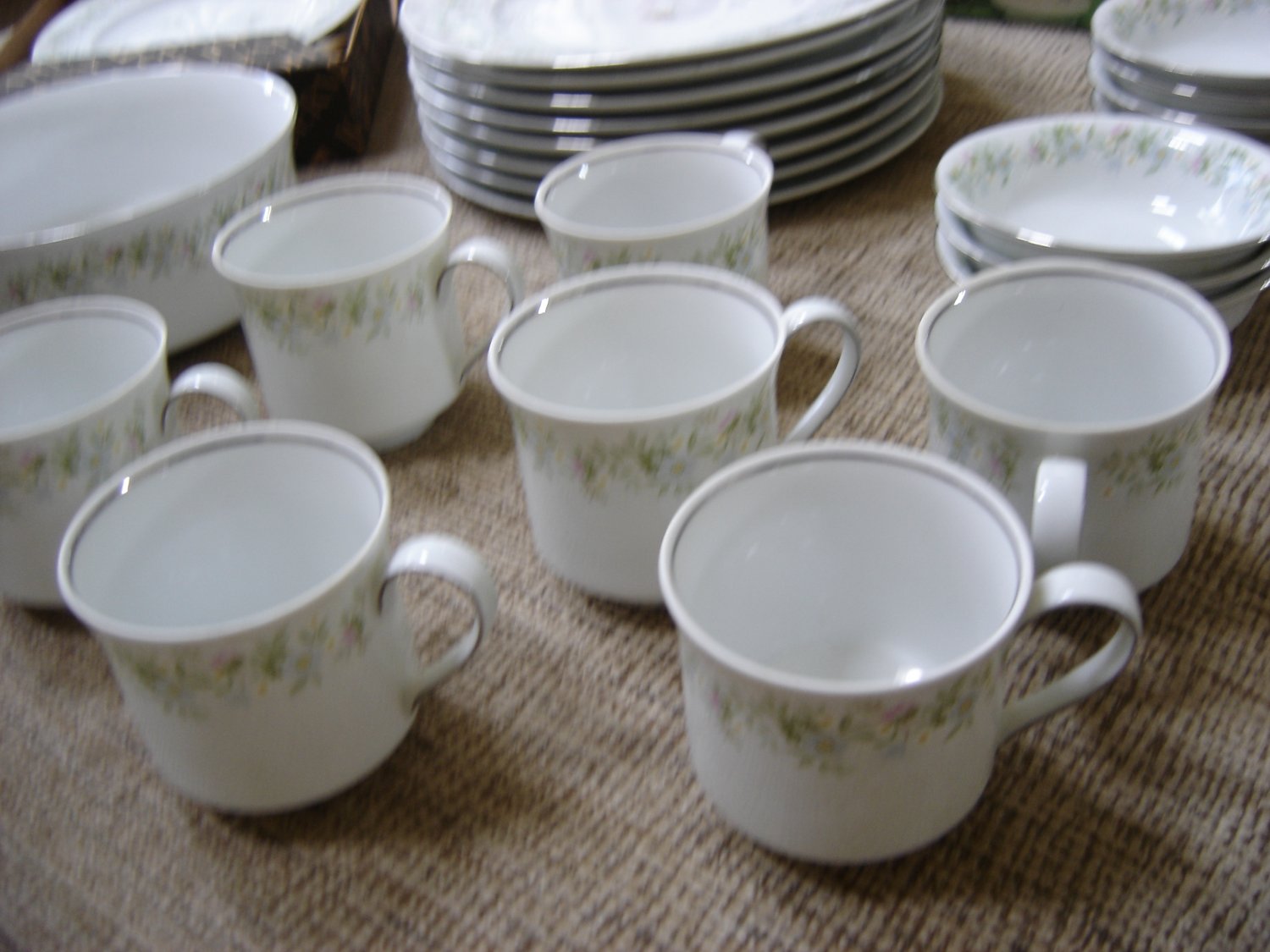 FOREVER SPRING CHINA by JOHANN HAVILAND (BAVARIA) - 45 PCS. - SOME ...