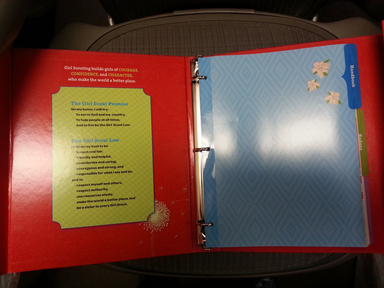 The Cadette Girl's Guide to Girl Scouting – 2011 by Girl Scouts of the ...